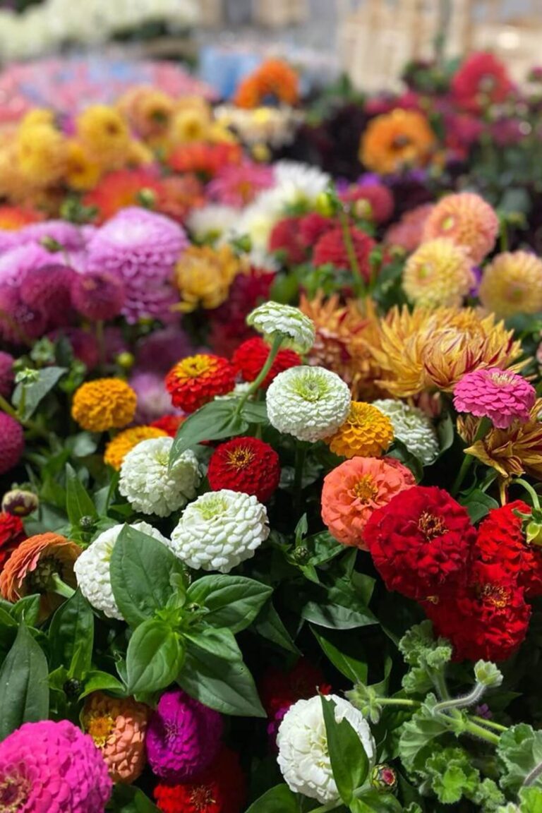 Flower Market merger creates Green & Bloom - New Covent Garden Market