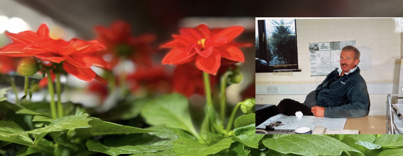 Obituary - Steve Doe - Evergreen Exterior Services