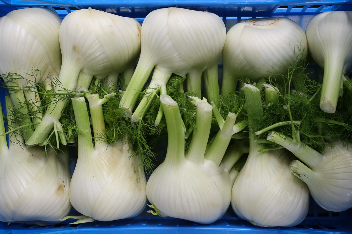 Fruit and Veg in Season for January 2024 - New Covent Garden Market