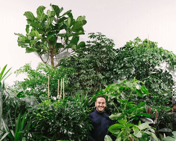 Planting the seeds for good mental health - New Covent Garden Market