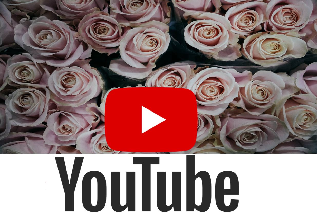 YouTube short films celebrate market life during 50th anniversary year ...