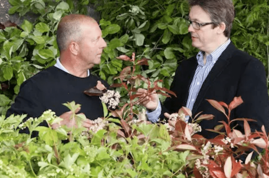 Farewell to GB Foliage’s Dave Gorton - New Covent Garden Market