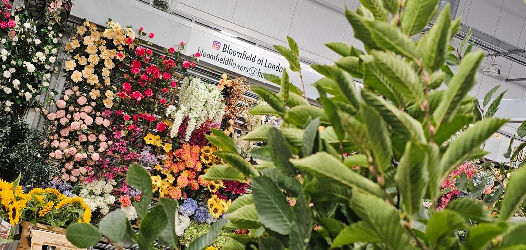 English and Italian foliage now in stock at Bloomfield - New Covent ...