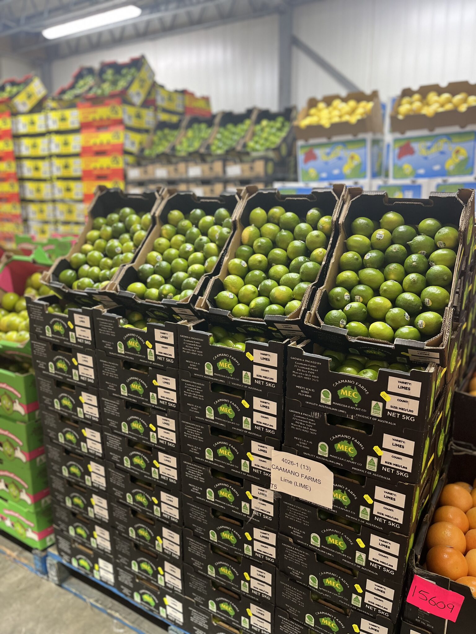 Wholesalers Down Under face similar challenges