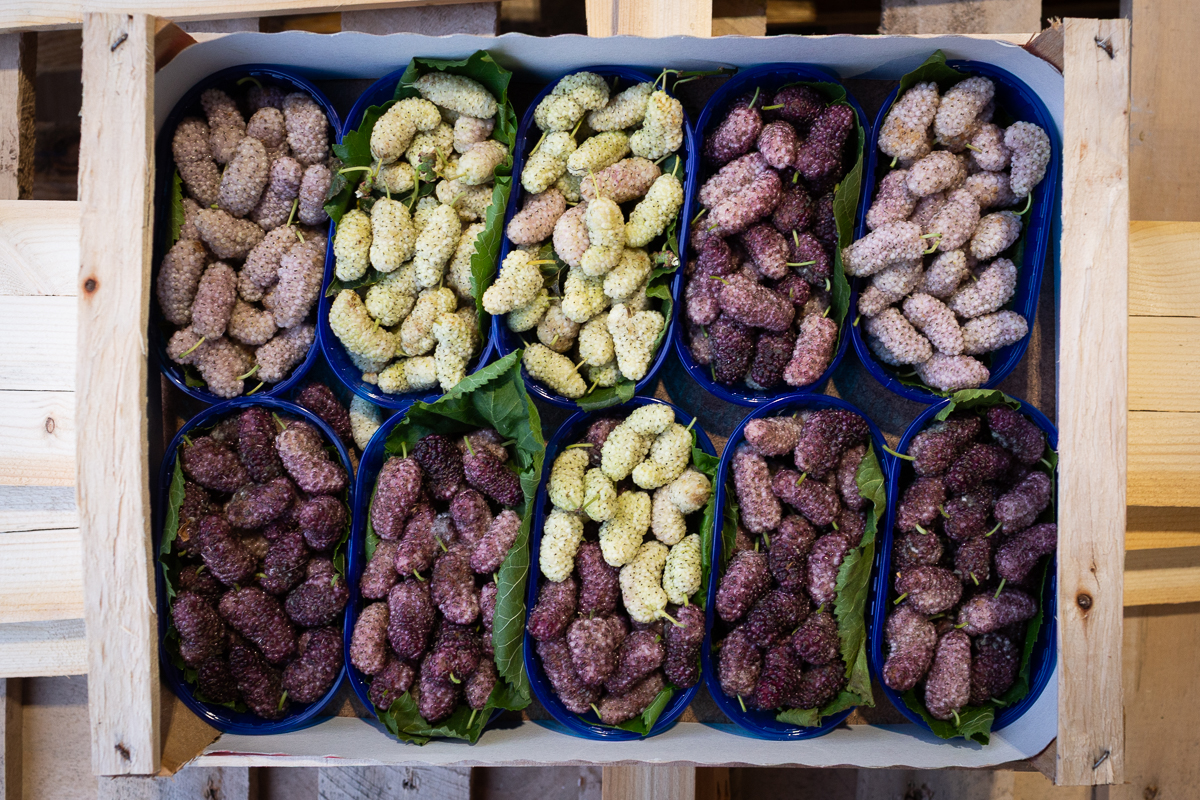 Fruit and Veg in Season for June 2026 - New Covent Garden Market